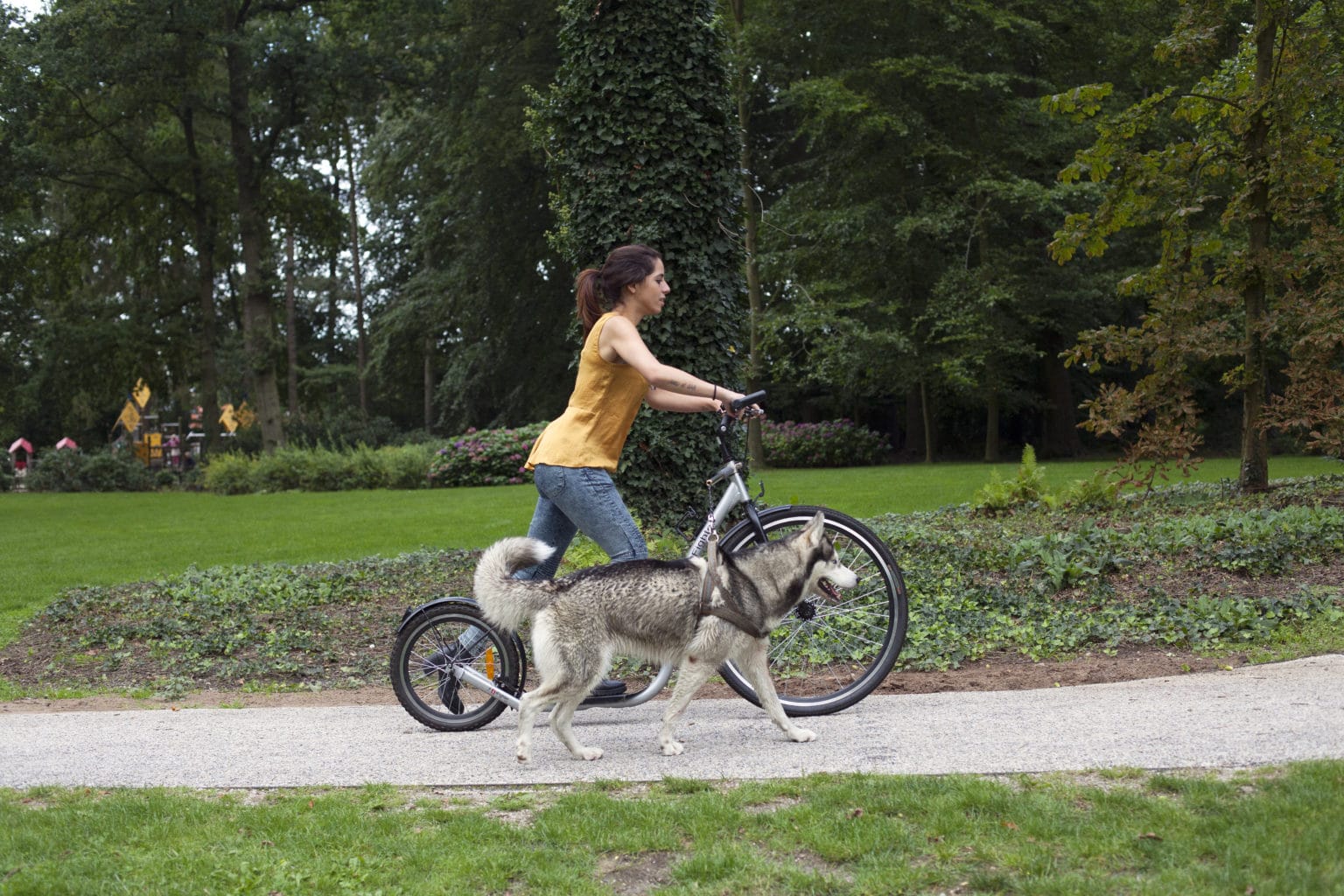 Step huren in Amersfoort bij Step Events – Step Events